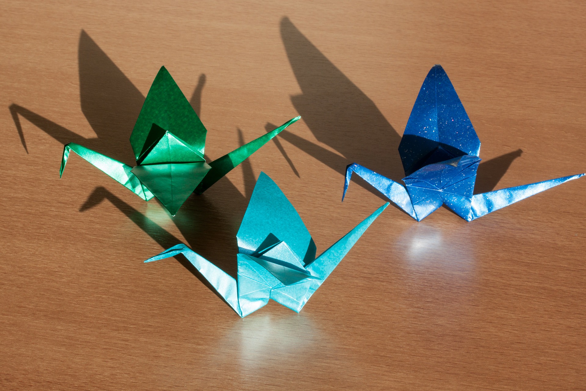 Origami Crane – WESTON MILES ARCHITECTS
